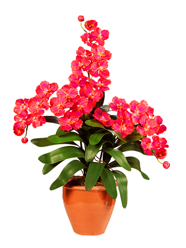 Flower Planting – Fine Garden Care